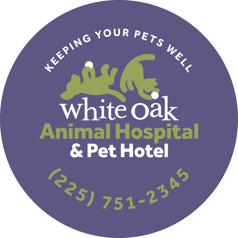White Oak Animal Hospital | Keeping your pets well.