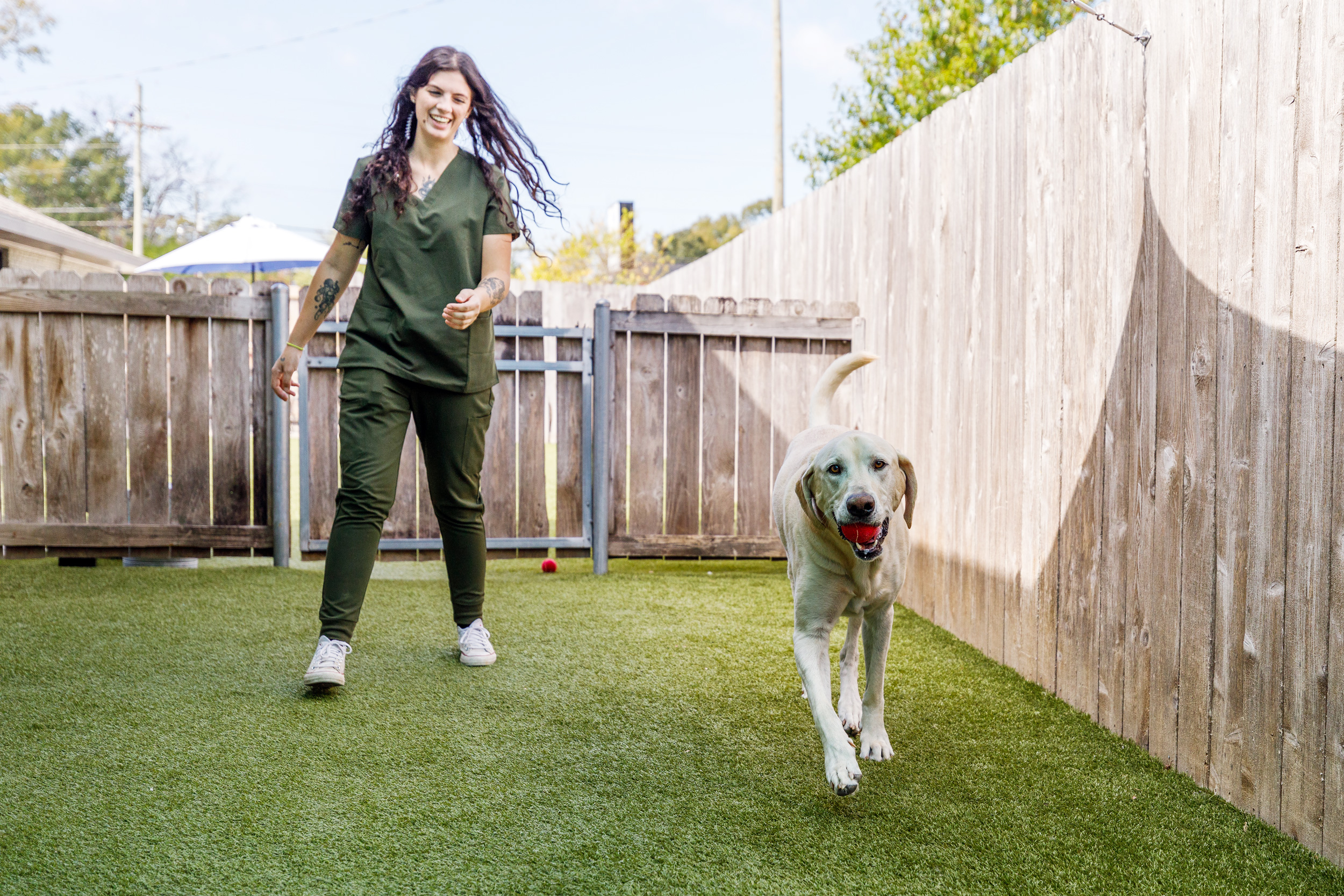 White Oak Animal Hospital | Keeping your pets well.